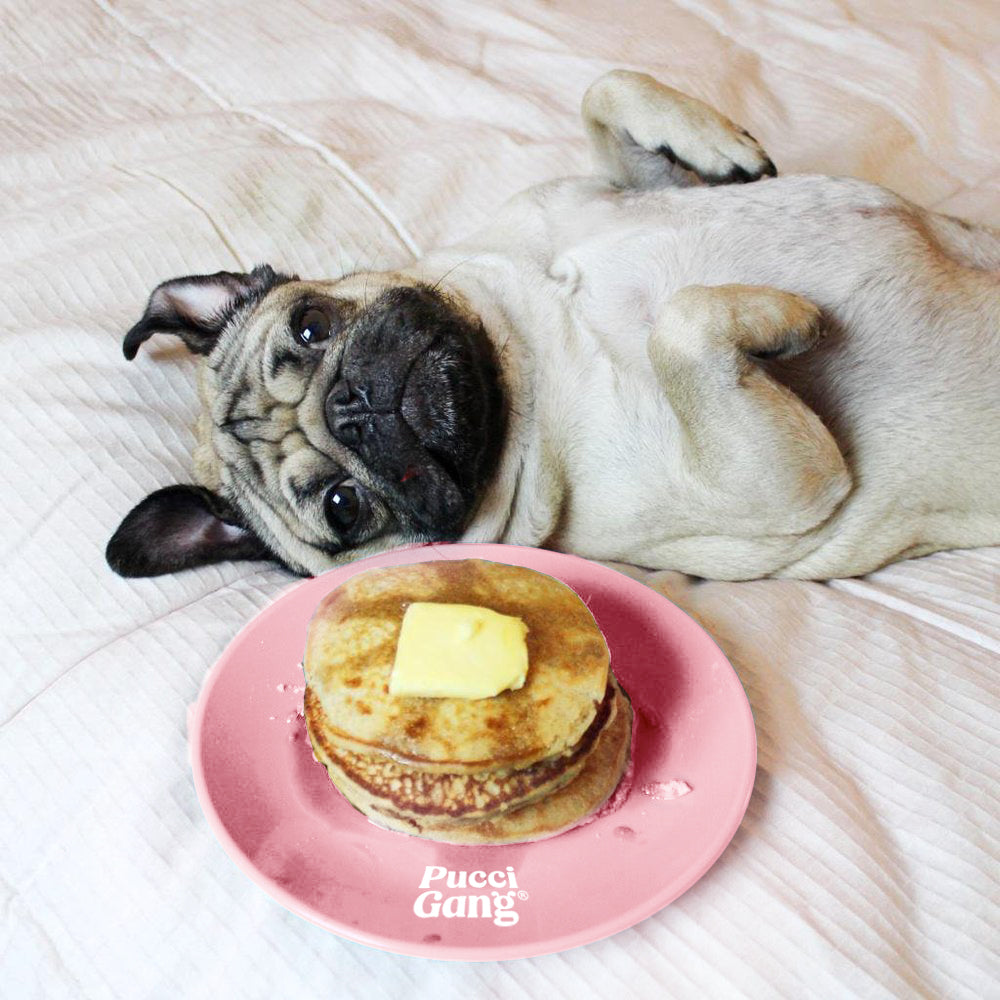 We now sell Brushes | Pucci Gang